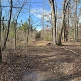 Eagle Point Trail, North Carolina - 236 Reviews, Map | AllTrails