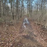 Eagle Point Trail, North Carolina - 236 Reviews, Map | AllTrails