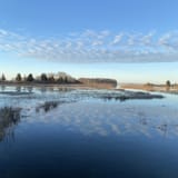 Barn Island Wildlife Management Area Trail, Connecticut - 715 Reviews ...