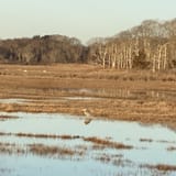 Barn Island Wildlife Management Area Trail, Connecticut - 715 Reviews ...