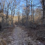 Barn Island Wildlife Management Area Trail, Connecticut - 715 Reviews ...