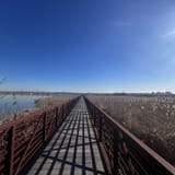 Secaucus Greenway, New Jersey - 173 Reviews, Map | AllTrails