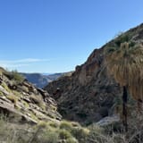 Cahuilla Canyon Trail, California - 550 Reviews, Map | AllTrails