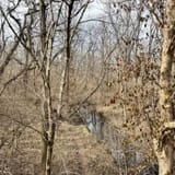 Anchorage Trail, Kentucky - 765 Reviews, Map | AllTrails