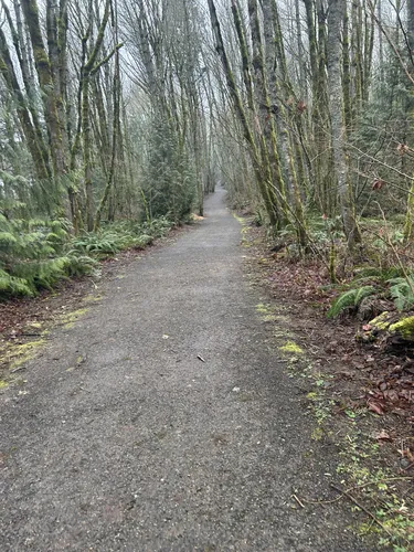 Best Hikes and Trails in Springbrook Park | AllTrails