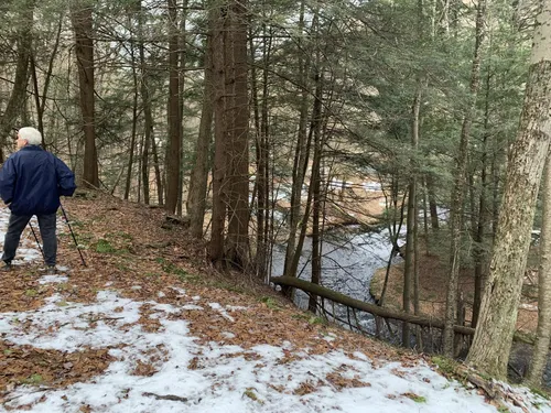 Best Hikes and Trails in Lyman Run State Park | AllTrails