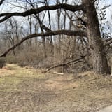 Anchorage Trail, Kentucky - 765 Reviews, Map | AllTrails