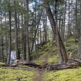 Killarney Lake Loop , British Columbia, Canada - 408 Reviews, Map ...