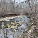 Cave River Valley Trail, Indiana - 206 Reviews, Map | AllTrails
