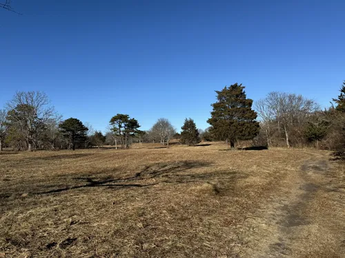 Best Hikes and Trails in Crowes Pasture Conservation Area | AllTrails