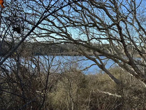 Best Hikes and Trails in Crowes Pasture Conservation Area | AllTrails