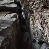 Babel Tower Trail (240), North Carolina - 962 Reviews, Map | AllTrails