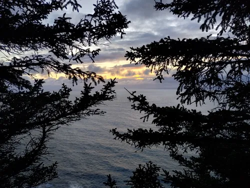 Best Hikes and Trails in Cape Sebastian State Scenic Corridor | AllTrails