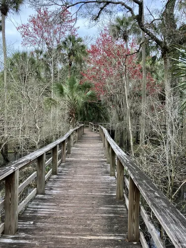 Best Hikes and Trails in Flagler County Recreation Area | AllTrails