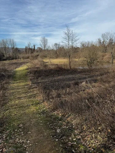 Best Hikes and Trails in Pequest Wildlife Management Area | AllTrails