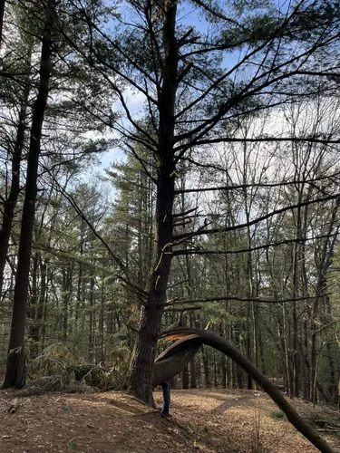 Best Hikes and Trails in Provin Trails Park | AllTrails