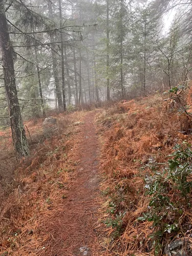 Best Hikes and Trails in Syringa Provincial Park | AllTrails