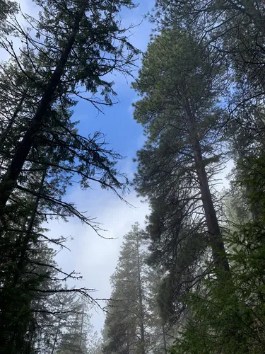 Best Hikes and Trails in Syringa Provincial Park | AllTrails