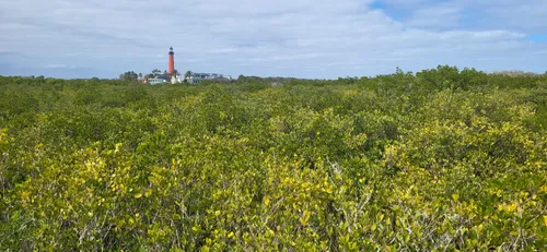 Best Hikes and Trails in Lighthouse Point Park | AllTrails