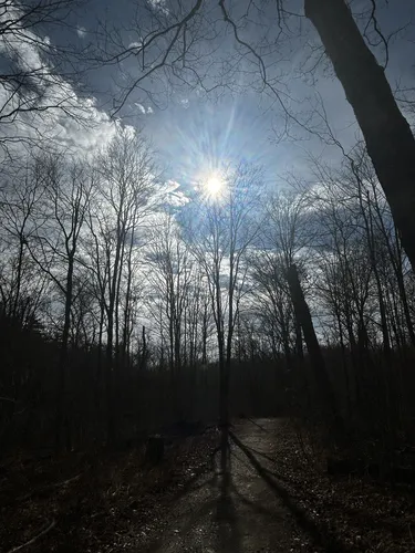 Best Hikes and Trails in Mitchell Memorial Forest | AllTrails