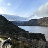 Loch Muick Circular, Aberdeenshire, Scotland - 237 Reviews, Map | AllTrails