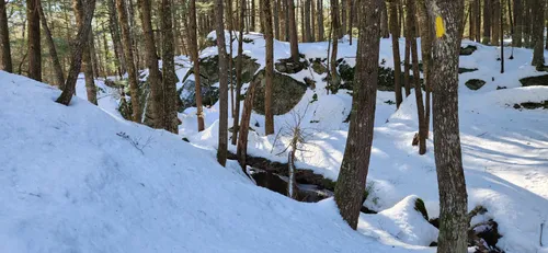 Best Hikes and Trails in Homestead Forest | AllTrails