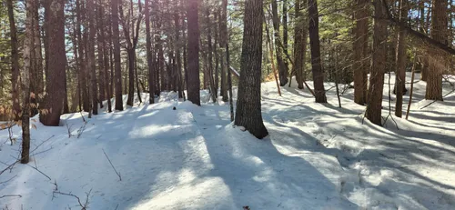 Best Hikes and Trails in Homestead Forest | AllTrails