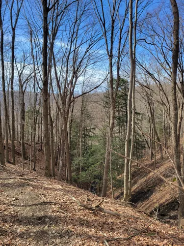 Best Hikes and Trails in Hinchcliff Family Preserve | AllTrails