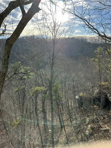 10 Best Hikes and Trails in Kanawha State Forest | AllTrails