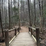 Fonta Flora Trail Loop, North Carolina - 1,662 Reviews, Map | AllTrails