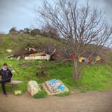 Albany Bulb, California - 342 Reviews, Map | AllTrails