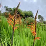 Albany Bulb, California - 342 Reviews, Map | AllTrails