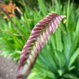 Albany Bulb, California - 342 Reviews, Map | AllTrails