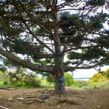 Albany Bulb, California - 342 Reviews, Map | AllTrails