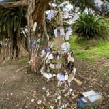 Albany Bulb, California - 342 Reviews, Map | AllTrails