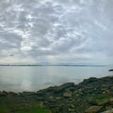 Albany Bulb, California - 342 Reviews, Map | AllTrails