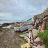 Albany Bulb, California - 393 Reviews, Map | AllTrails