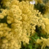 Albany Bulb, California - 342 Reviews, Map | AllTrails