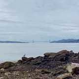 Albany Bulb, California - 393 Reviews, Map | AllTrails