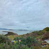 Albany Bulb, California - 393 Reviews, Map | AllTrails