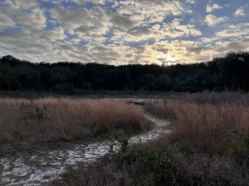 Best Hikes and Trails in Hidden Waters Preserve | AllTrails