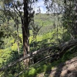 Makiki Valley Loop Trail, Oahu, Hawaii - 5,485 Reviews, Map | AllTrails