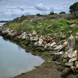 Albany Bulb, California - 357 Reviews, Map | AllTrails