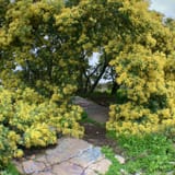 Albany Bulb, California - 357 Reviews, Map | AllTrails