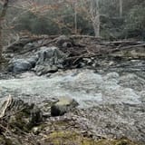 Laurel River Trail, North Carolina - 1,389 Reviews, Map | AllTrails