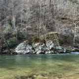 Laurel River Trail, North Carolina - 1,389 Reviews, Map | AllTrails