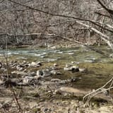Laurel River Trail, North Carolina - 1,389 Reviews, Map | AllTrails