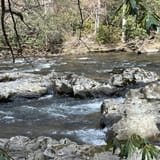 Laurel River Trail, North Carolina - 1,389 Reviews, Map | AllTrails