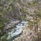 Laurel River Trail, North Carolina - 1,389 Reviews, Map | AllTrails