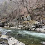 Laurel River Trail, North Carolina - 1,389 Reviews, Map | AllTrails